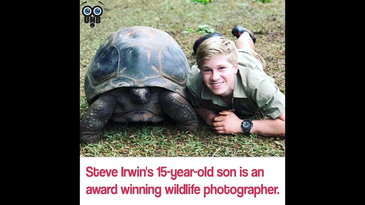 15 Interesting Facts About Steve Irwin’s Life